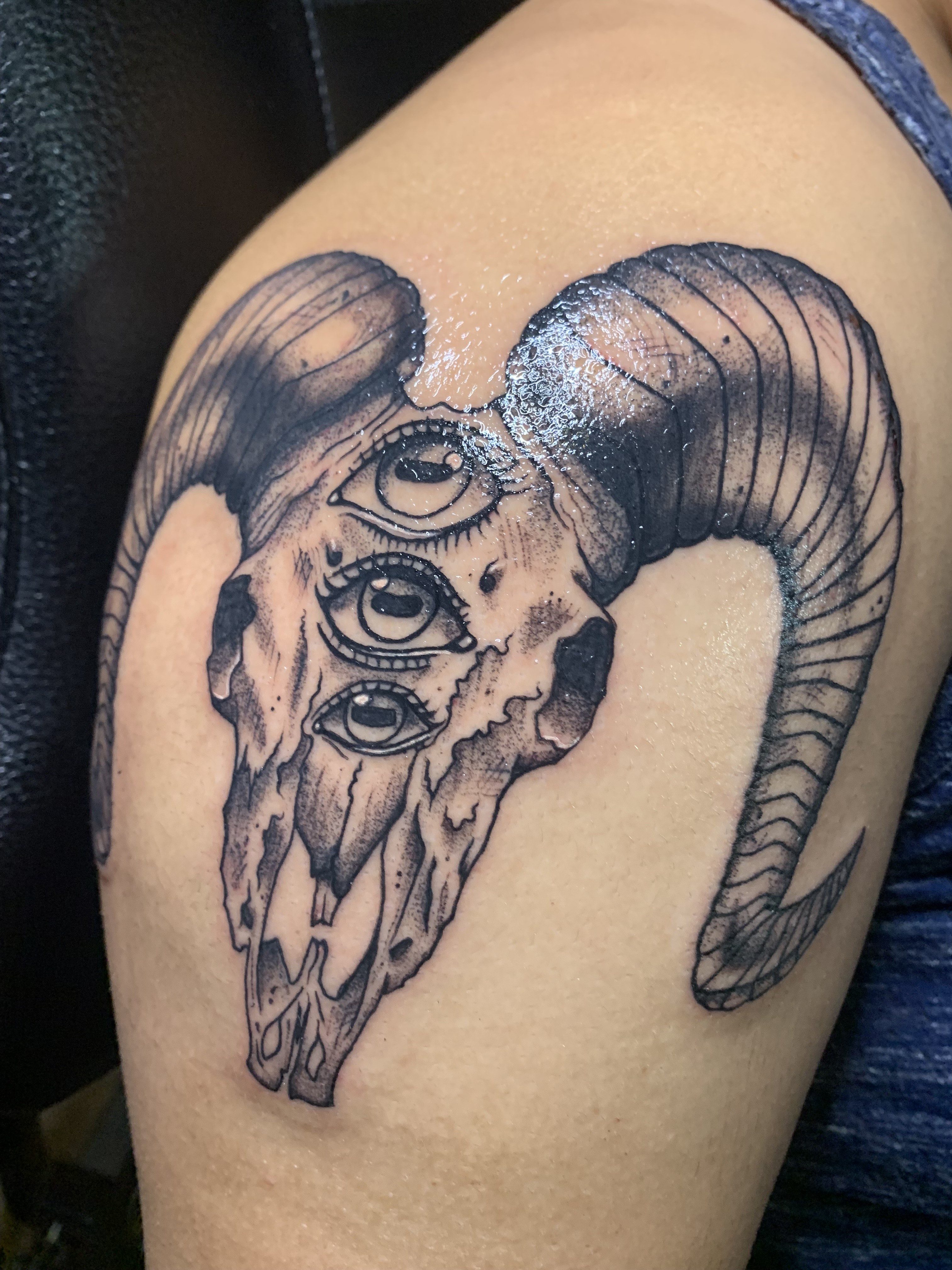 3 eye ram – The Plastic Flamingo